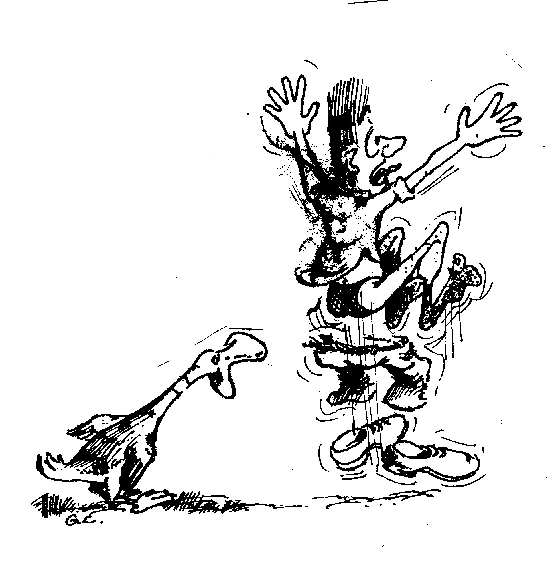 Cartoons – English Language Courses